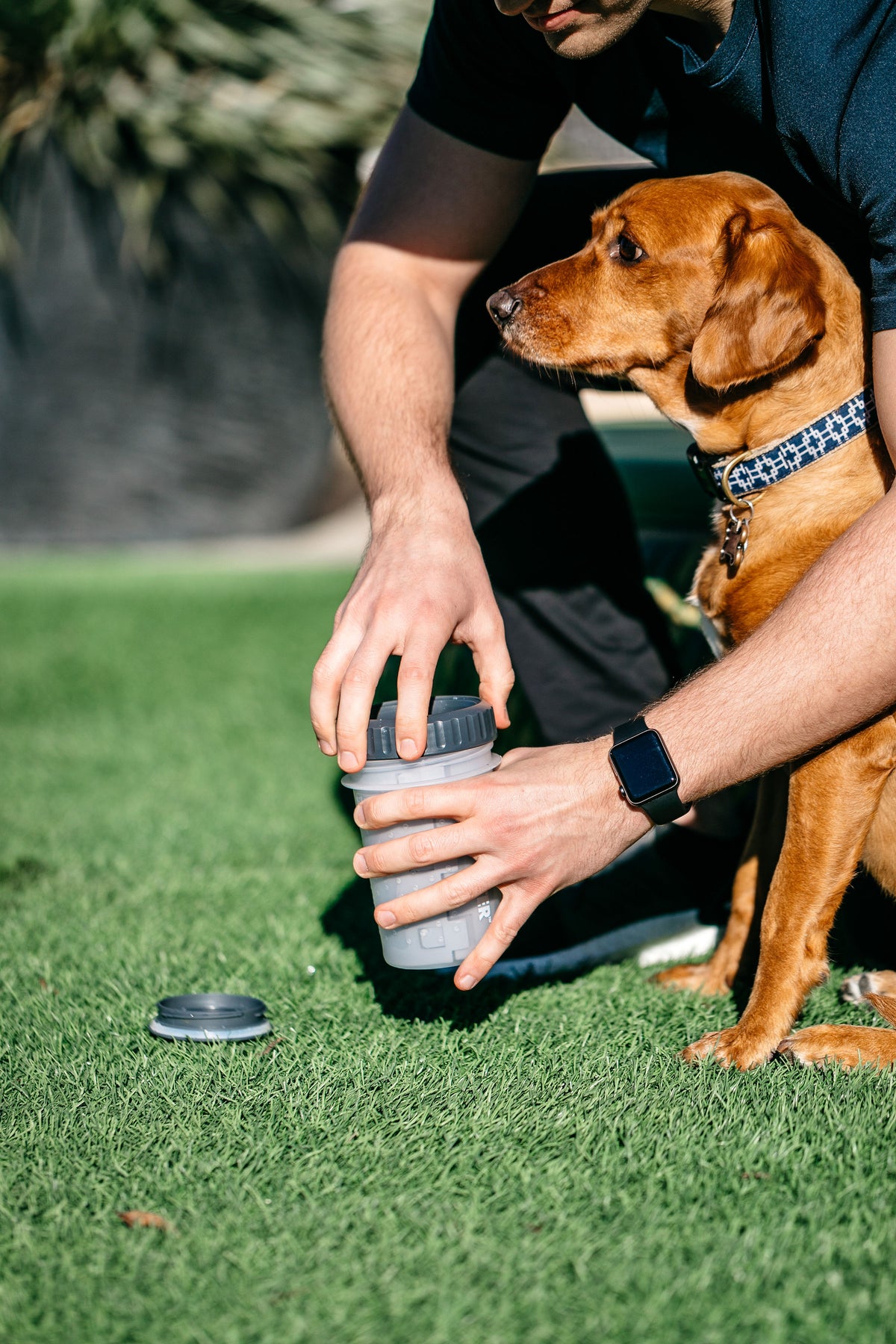 MudBuster with Lid | Dexas® Online Store