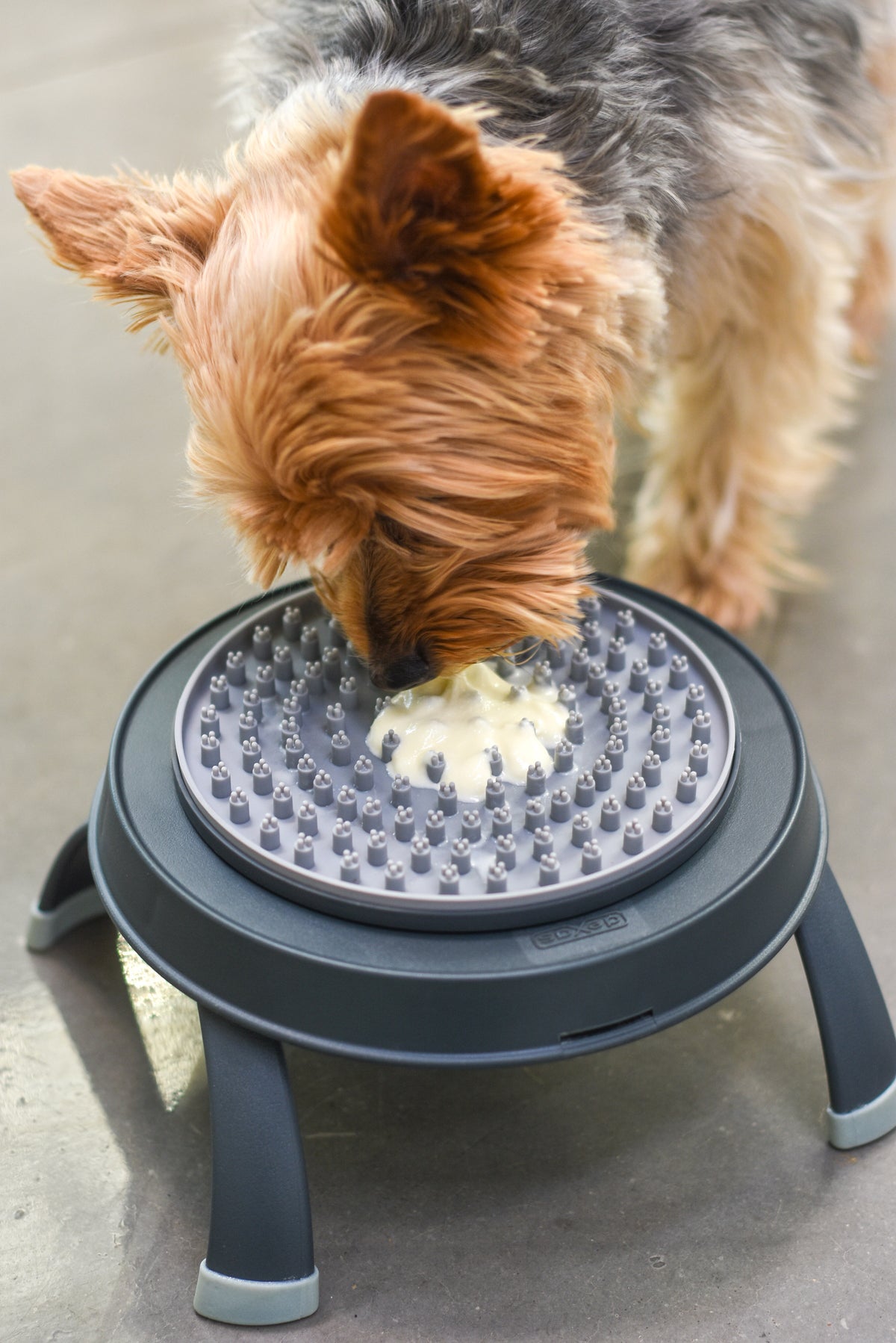 *NEW! Award Winning* Snack & Distract Elevated Lick Mat – Dexas® Online ...